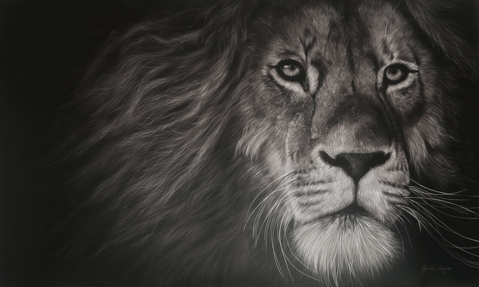 Original Rebel by Gordon Corrins – Robertson Fine Art